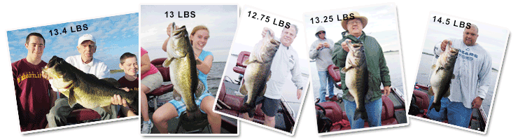 Fall 2015 Tip of the Year - Orlando Bass Guide