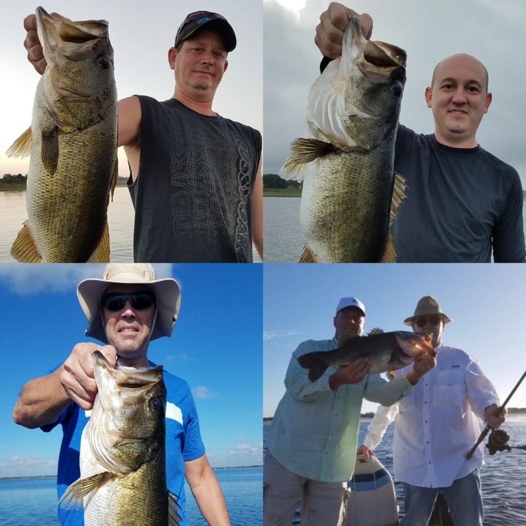 October Lake Toho Fishing Report - Orlando Bass Guide